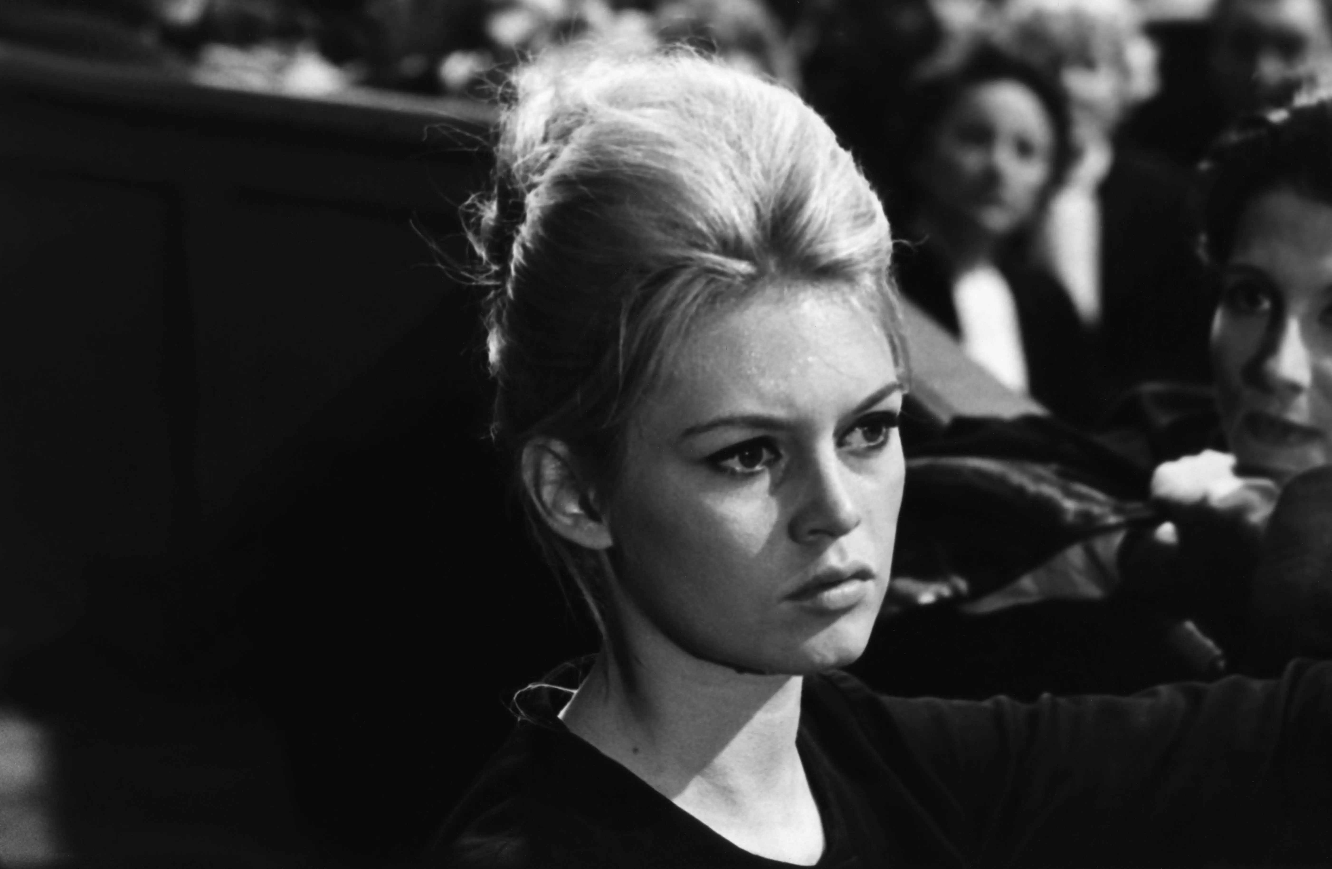 What did Brigitte Bardot stand for and why was she controversial ...