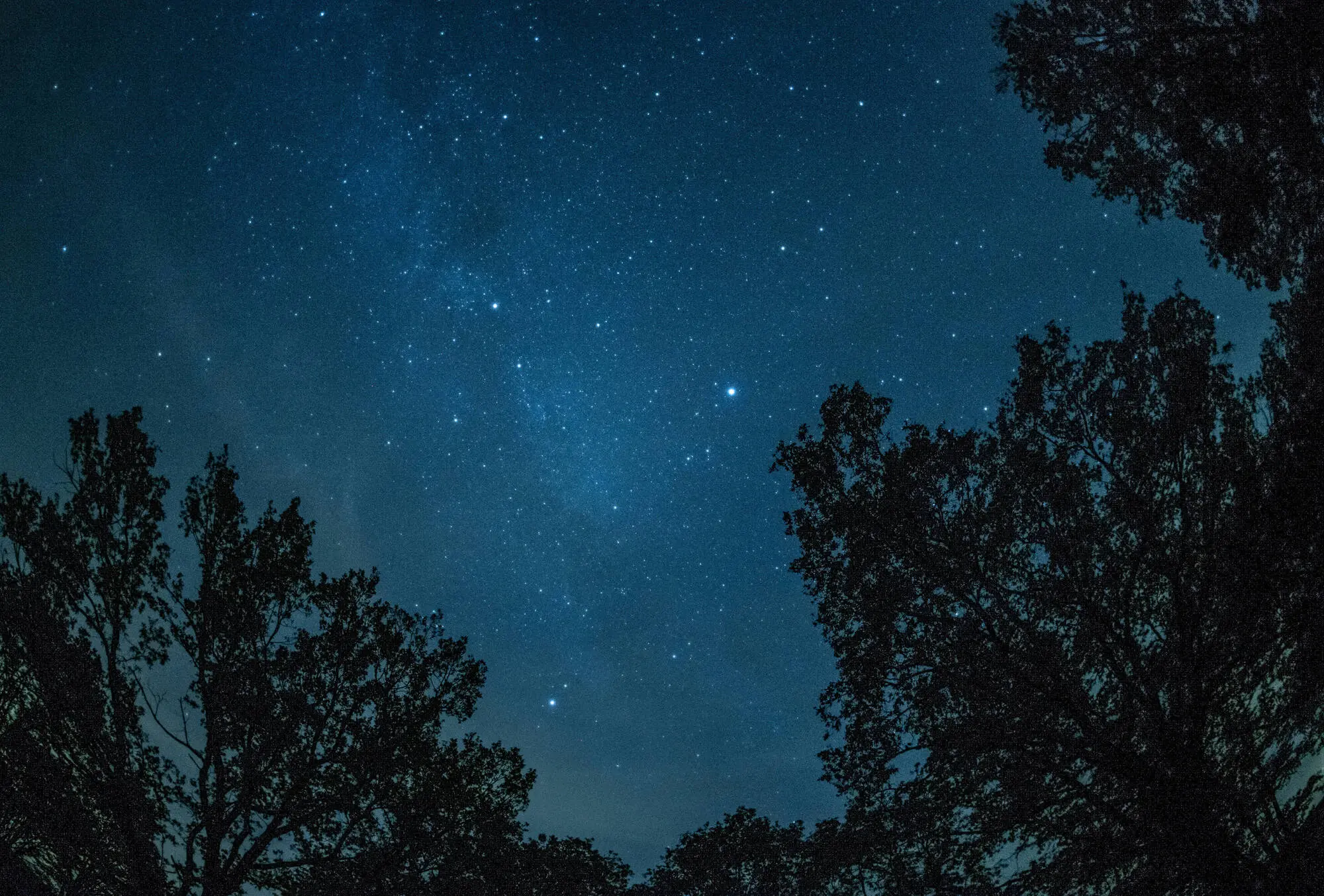 Milky Way “twins” seen by James Webb Space telescope reshape ideas ...