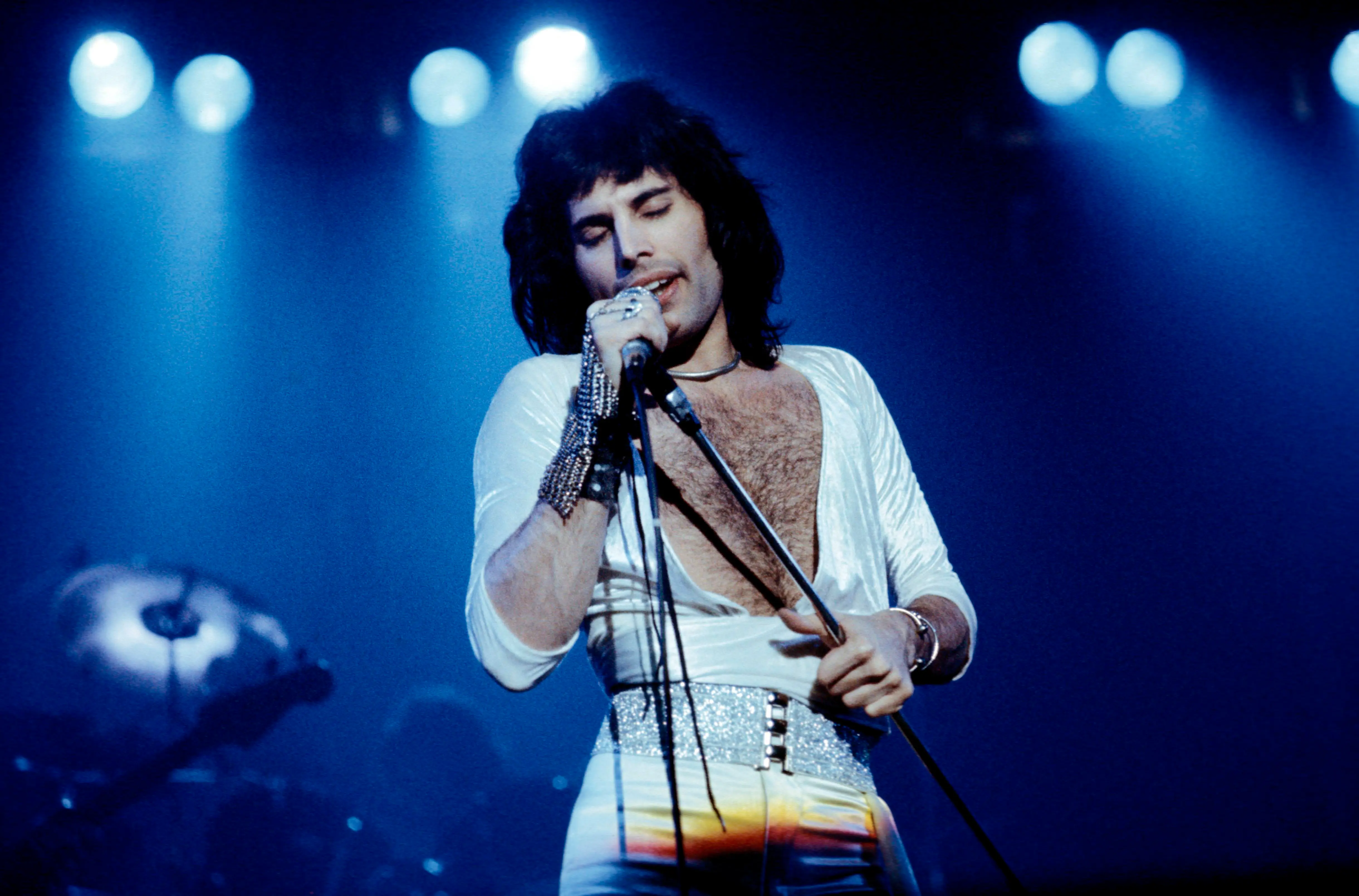 Did Freddie Mercury have any biological kids? Legendary singer's ...