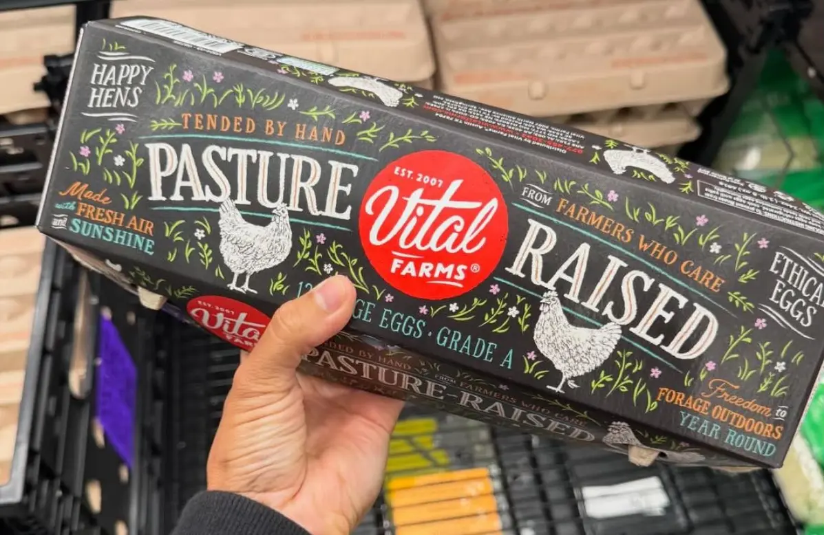 Who owns Vital Farms Eggs? Scandal over legit status erupts in wake of ...
