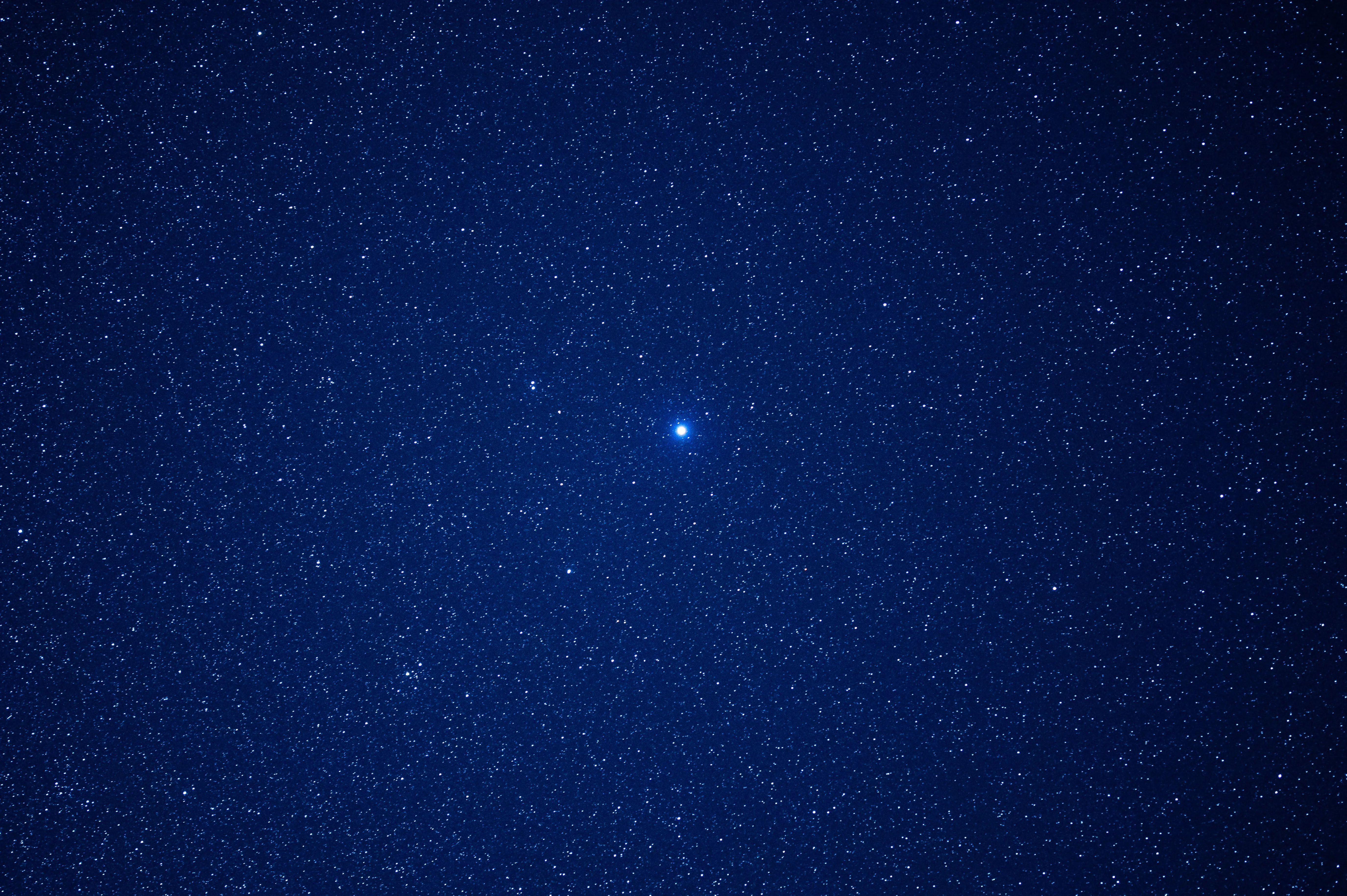 Where can stargazers find the Dog Stars this week? Here's how to spot ...