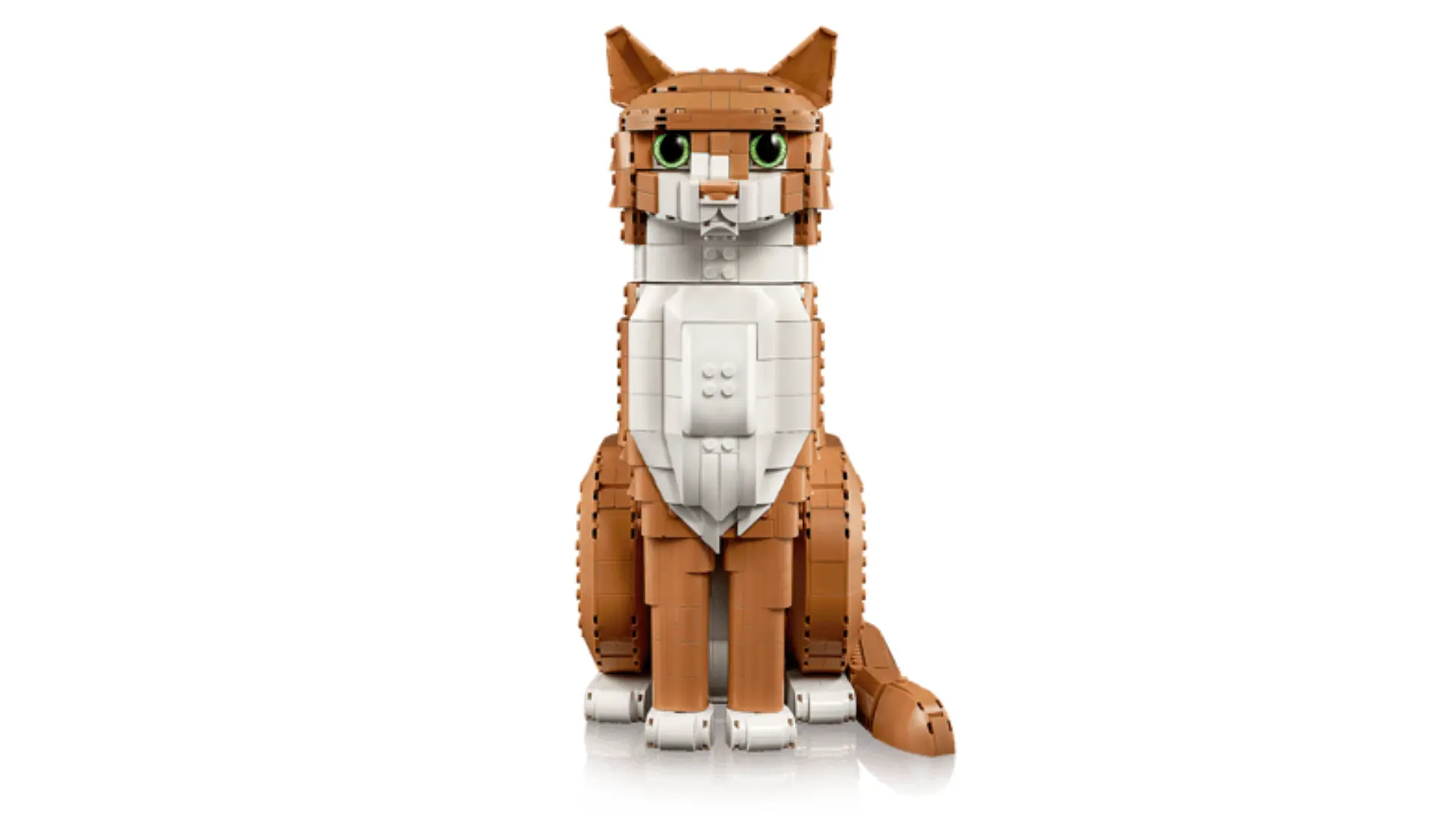 How much does the new LEGO orange cat cost and what comes in the set ...