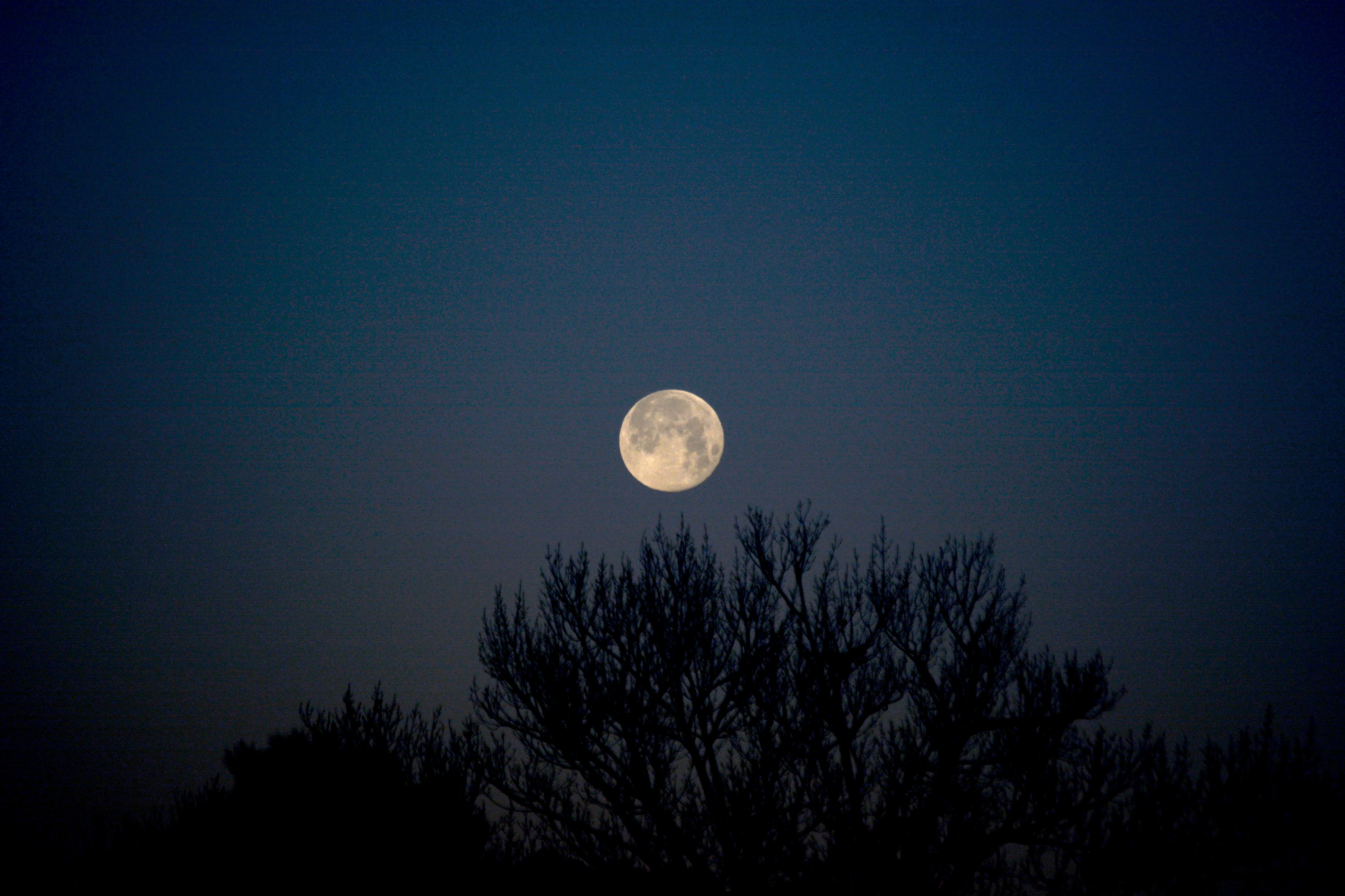 Detailed guide to the New Moon cycle and monthly timing this 2026 ...