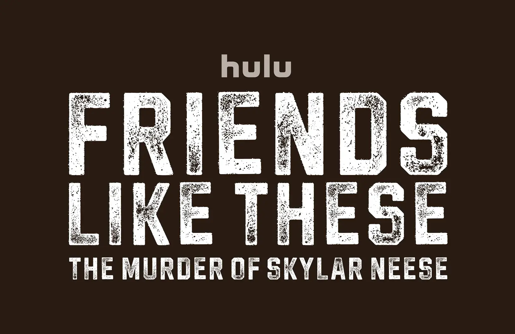 5 chilling details about the disappearance of 16-year-old Skylar Neese ...