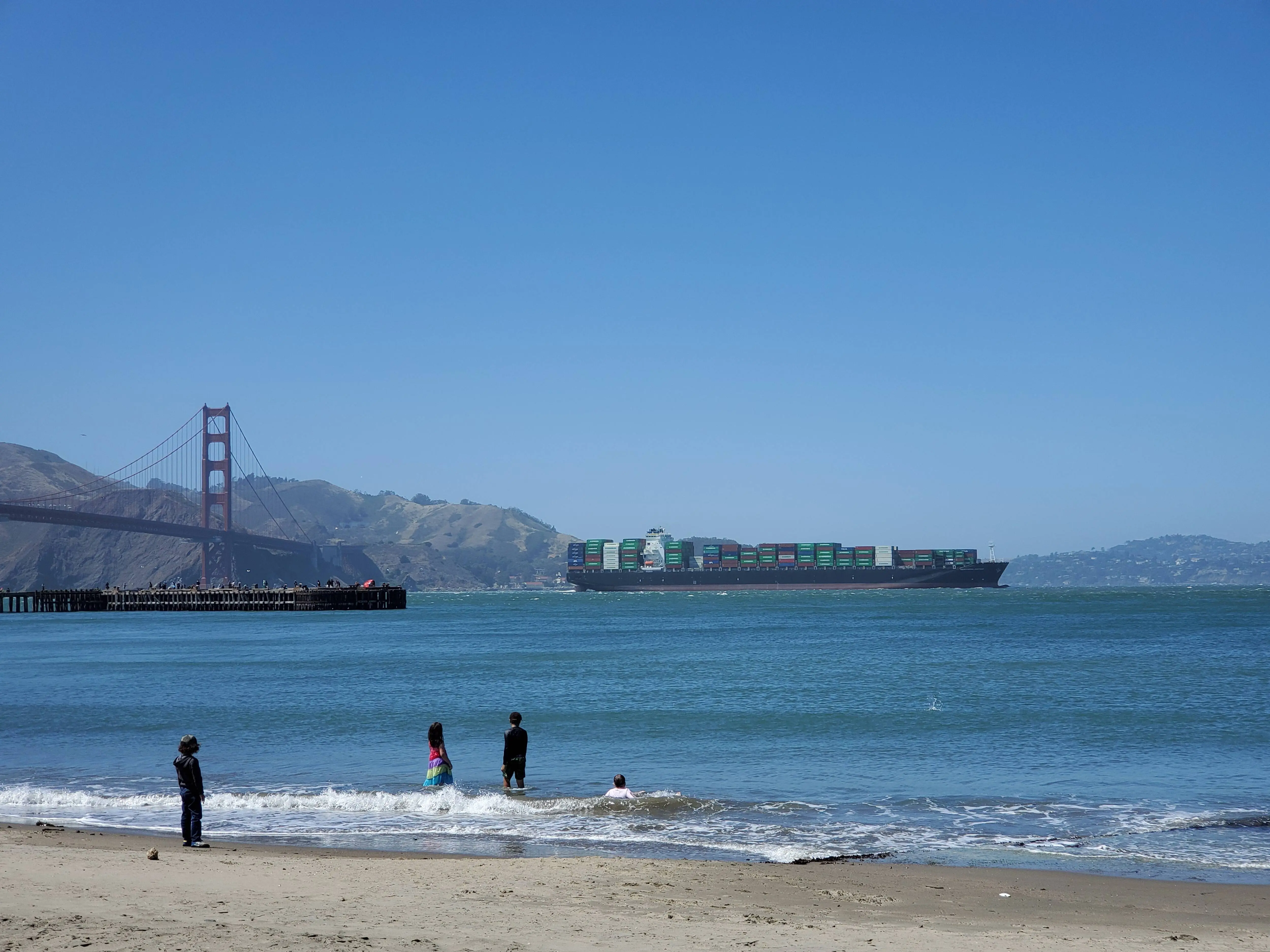 “I hope he didn’t hurt Moby!”: Internet reacts as San Francisco ...