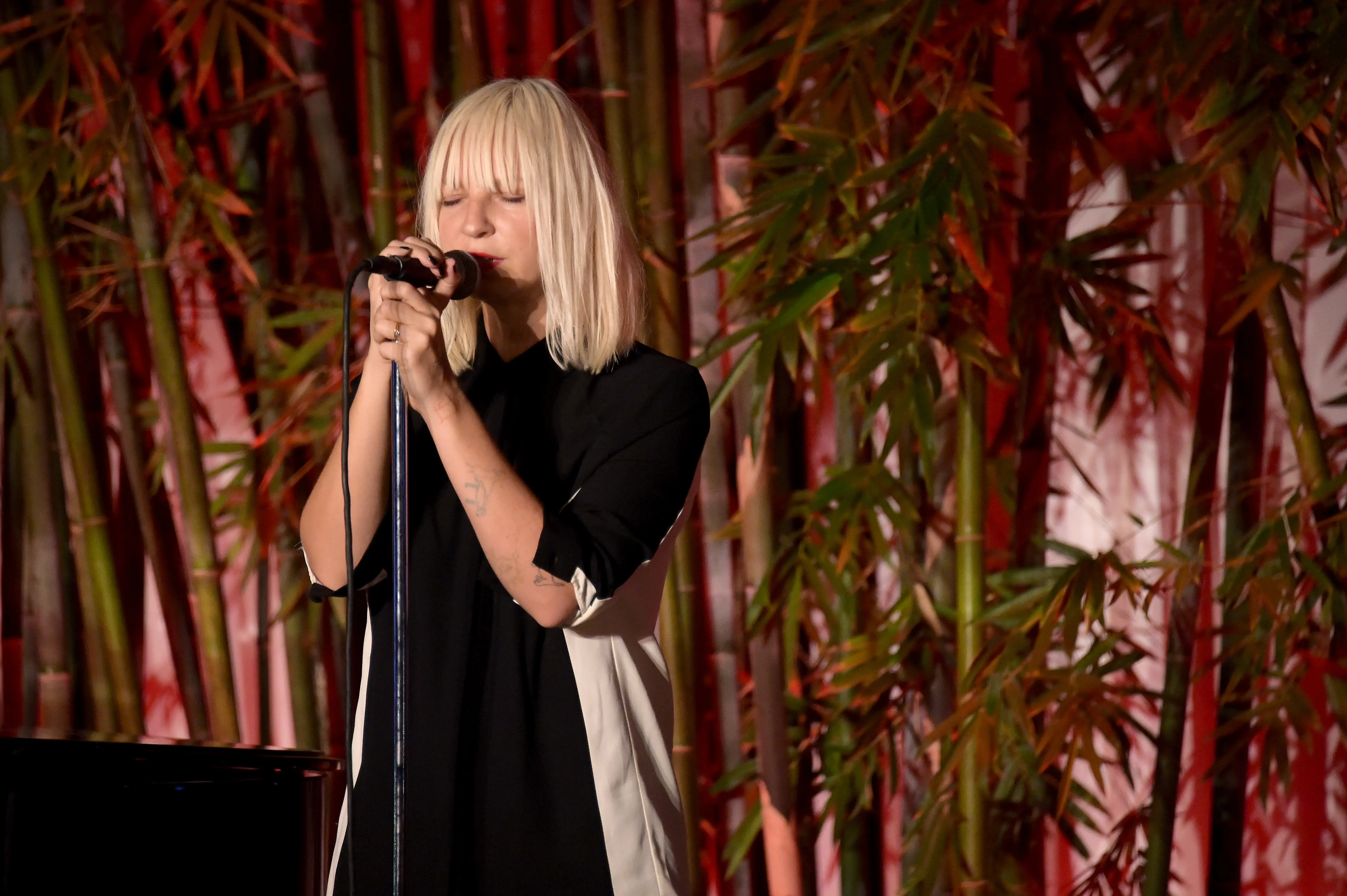 What is Sia's net worth? Singer talks about paying "incredibly high ...