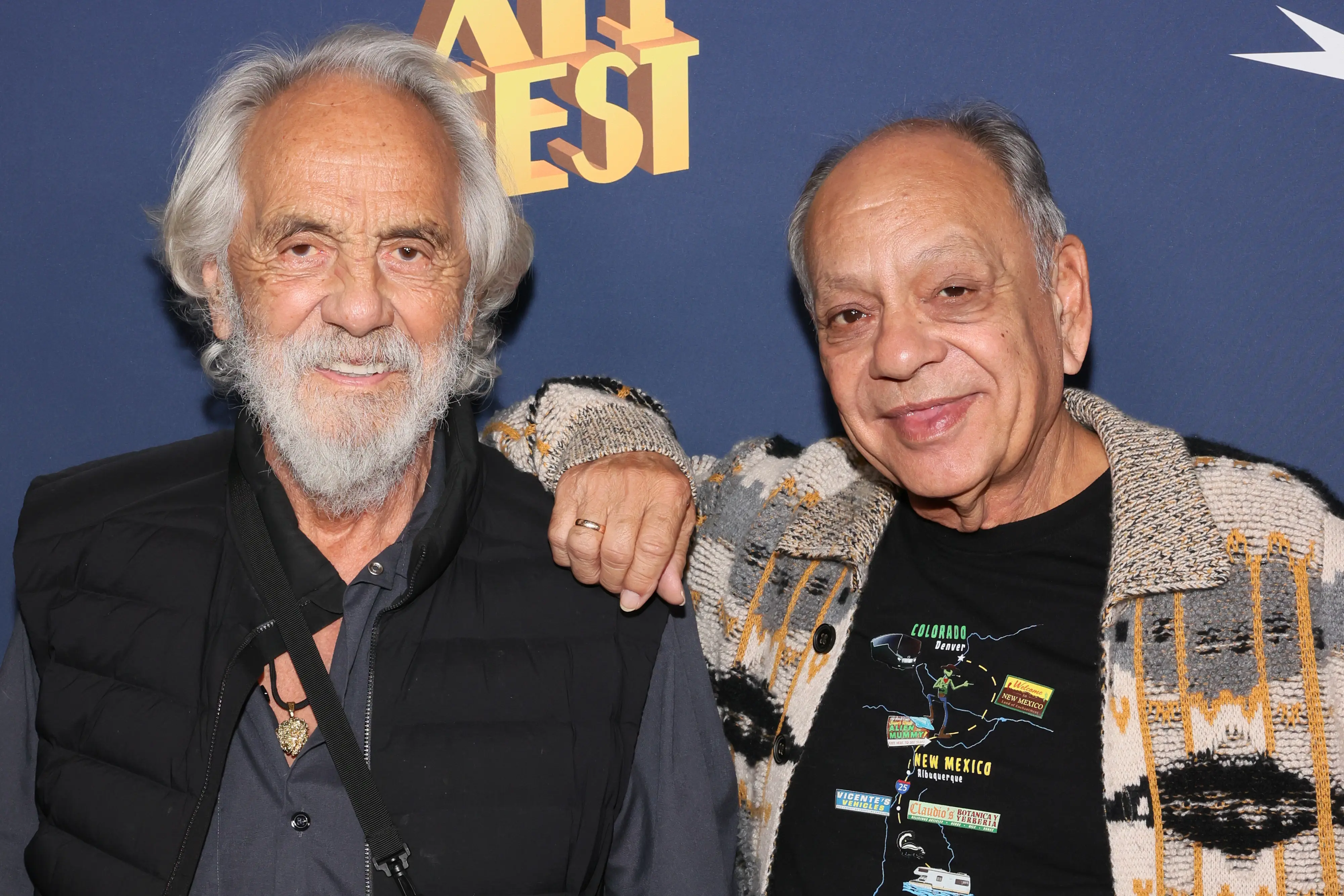 How to watch Cheech and Chong's Last Movie online? Streaming options ...