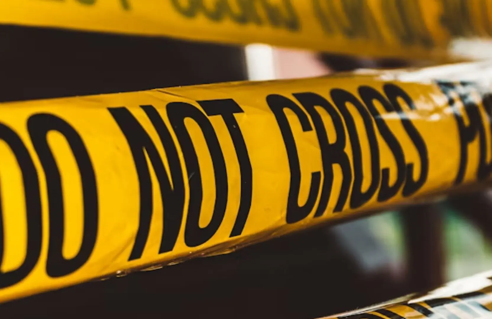 What happened to the 59-year-old mother Elizabeth Bjorlow from Castle ...