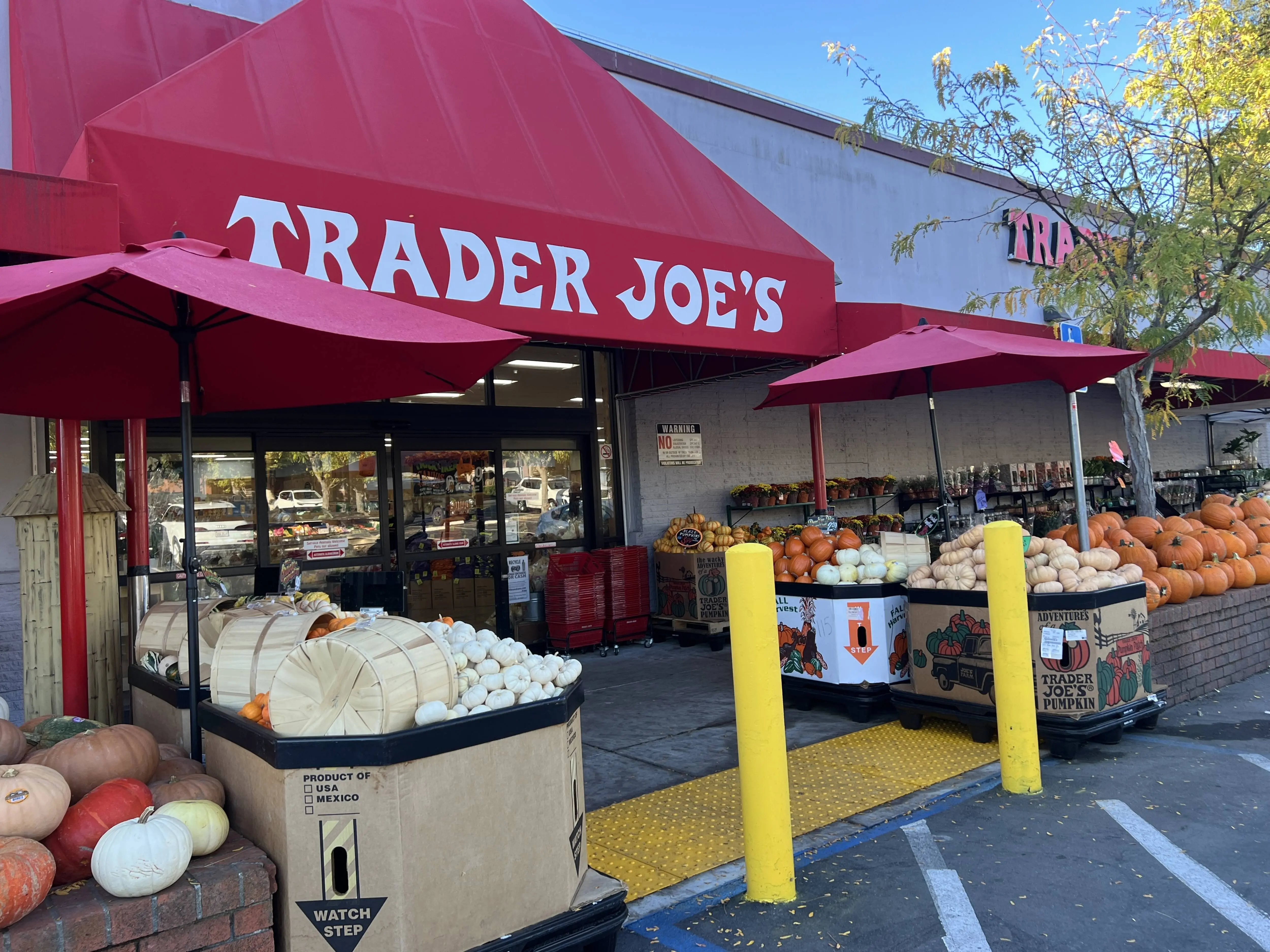 Why is Trader Joe’s sugar-free Sweet and Sour Gummy Worms going viral ...