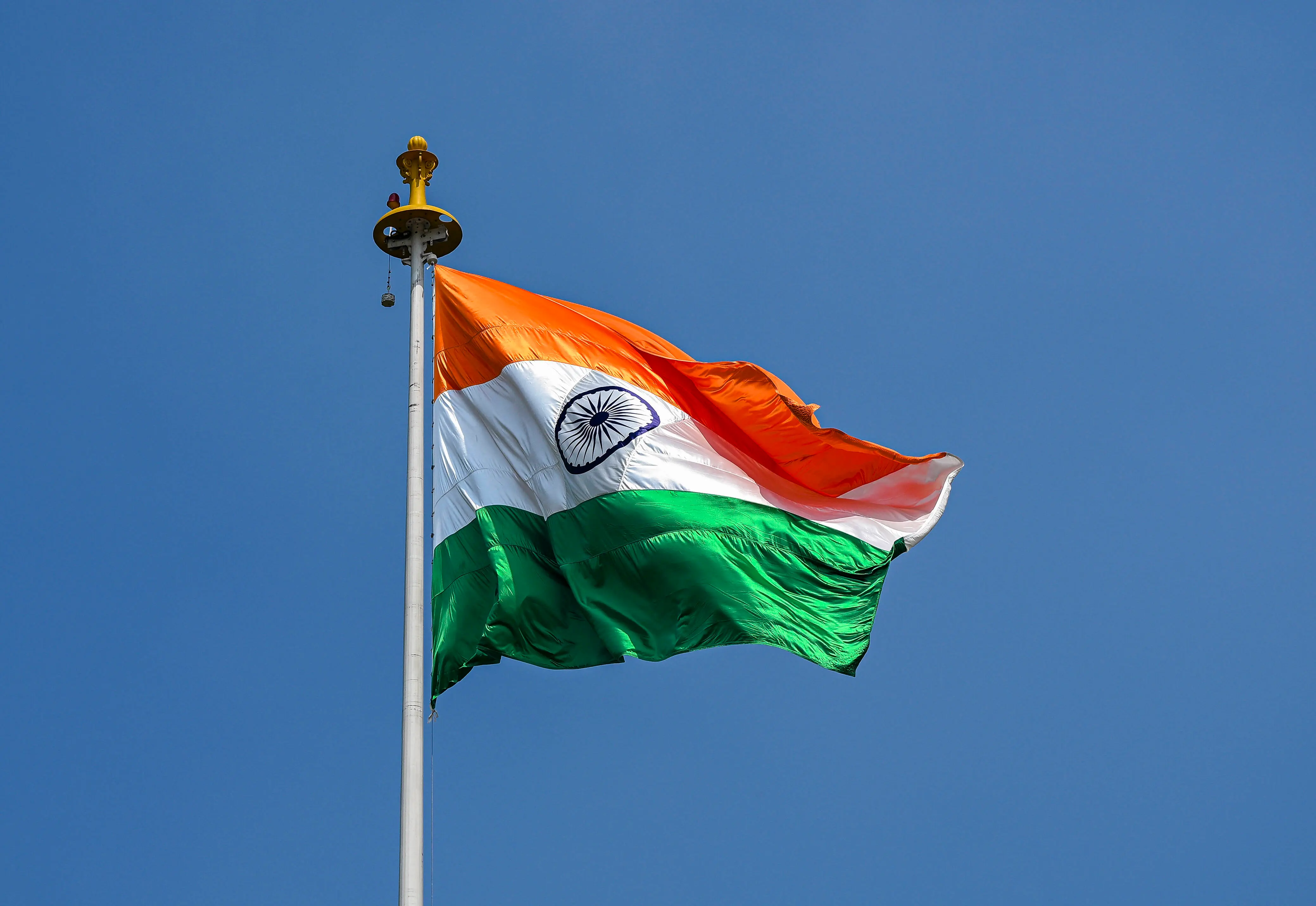 Video of a Texas man tearing an Indian flag outside city hall while the ...