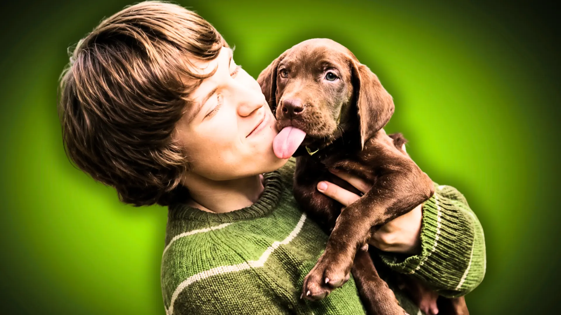 Netflix has finally pulled back the curtain on Scooby-Doo Origins with ...