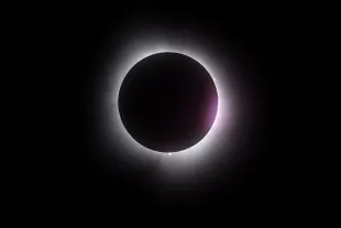 Who was Vince Costello? Everything to know about the death of the ...